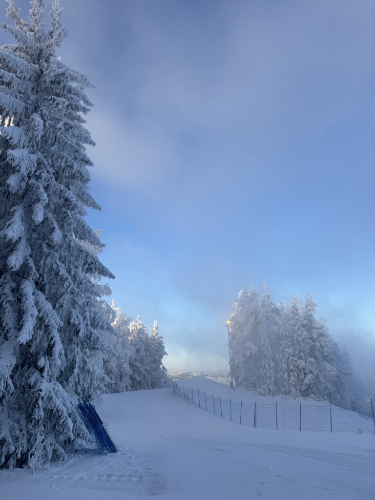 Poma Lift Instructions - Ski.fi